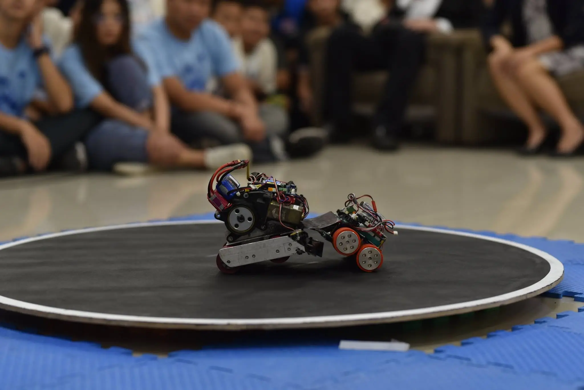 Robotex Egypt